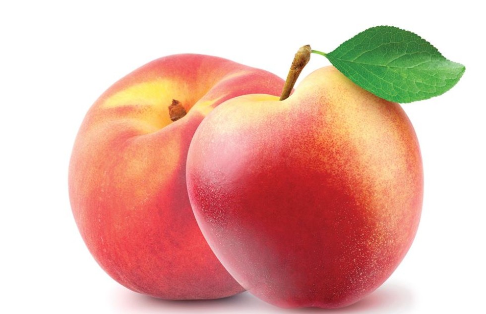 Nektarinka Harko - Zahradnictví Karviná FRUTO